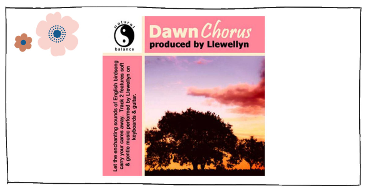 CD Dawn Chorus: voor meditatie & healing - Llewellyn | Bloom