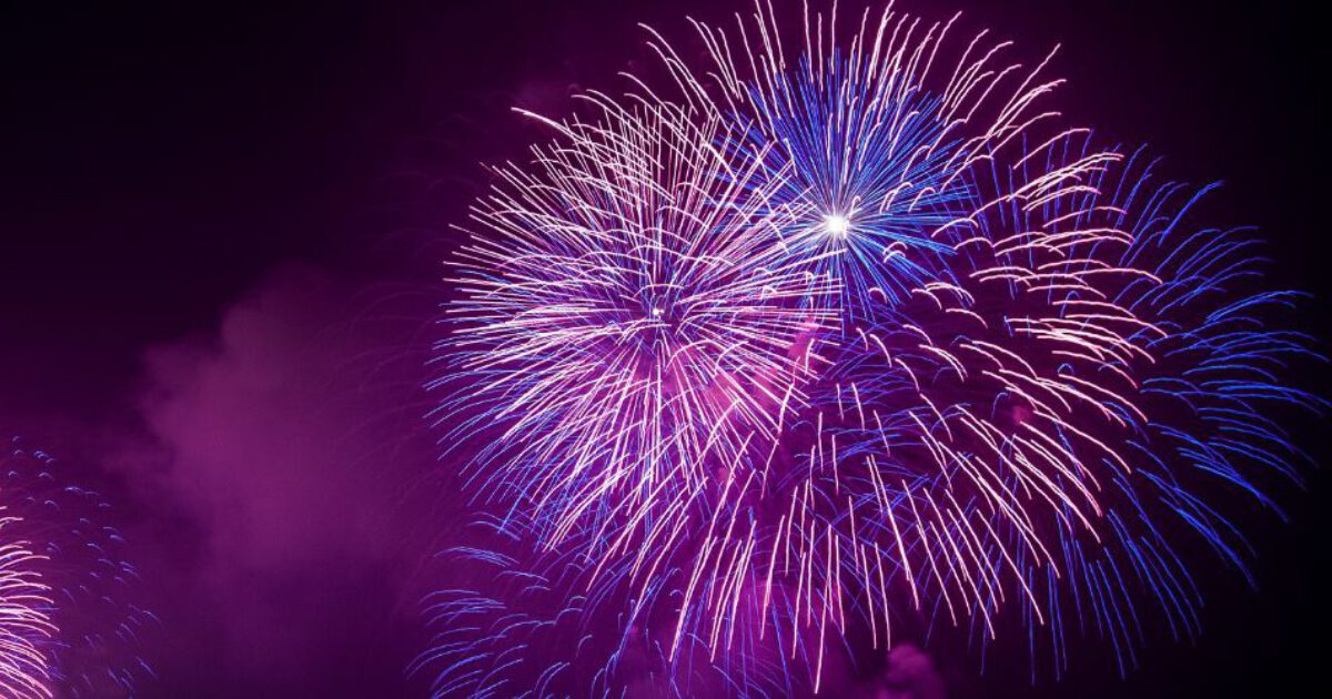 Kleuren onder de loep: de betekenis van violet | Bloom